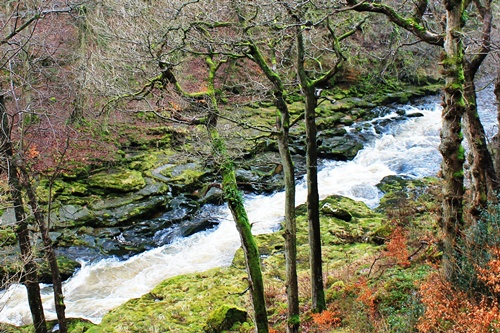 And the river rushes through it… the Strid, Yorkshire | Under a Grey Sky