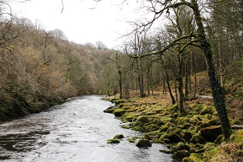 And the river rushes through it… the Strid, Yorkshire | Under a Grey Sky
