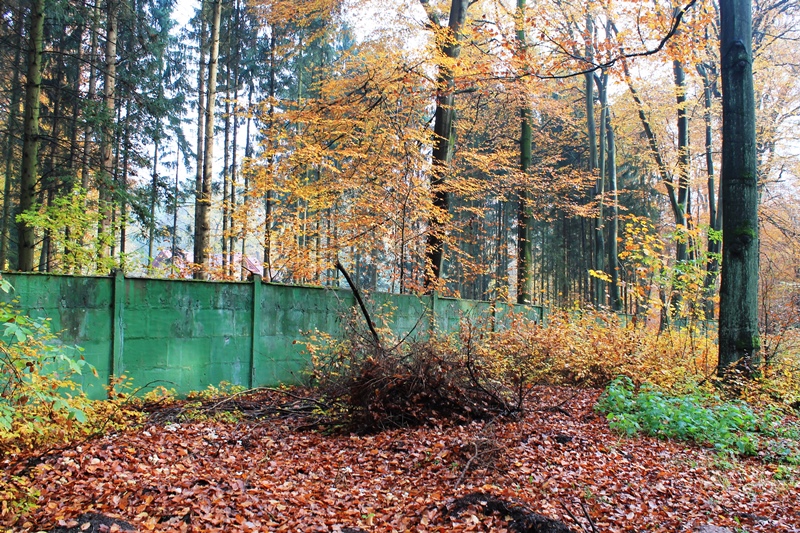 wandlitz5 | Under a Grey Sky